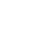 Tornado Sports Company | Your Go-to Cricket Store – TSC