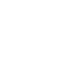 Tornado Sports Company | Your Go-to Cricket Store – TSC